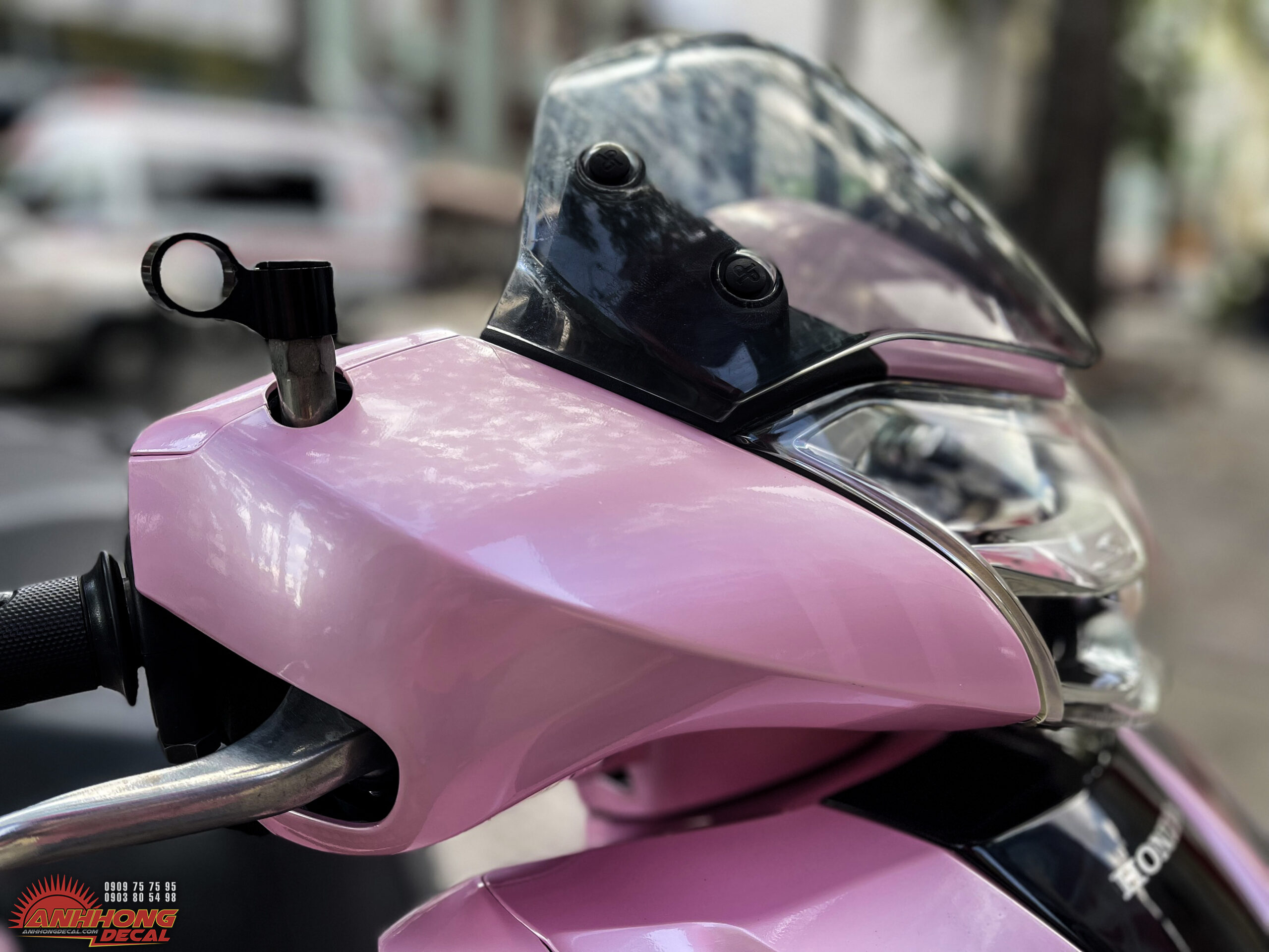 SH2019 Hồng Sữa Sakura - AH DECAL