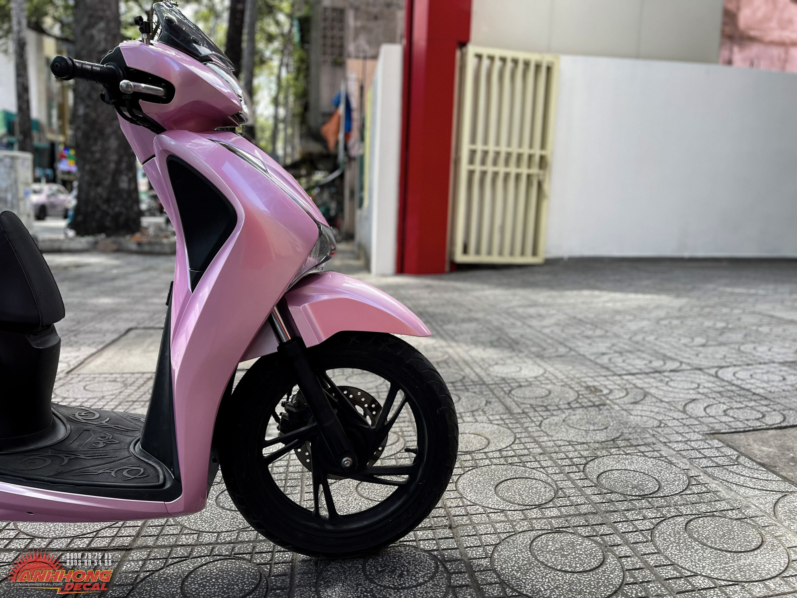 SH2019 Hồng Sữa Sakura - AH DECAL