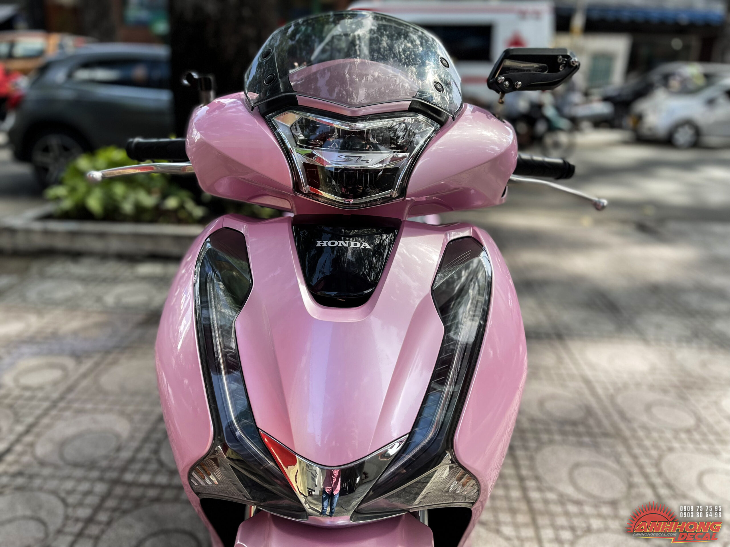SH2019 Hồng Sữa Sakura - AH DECAL
