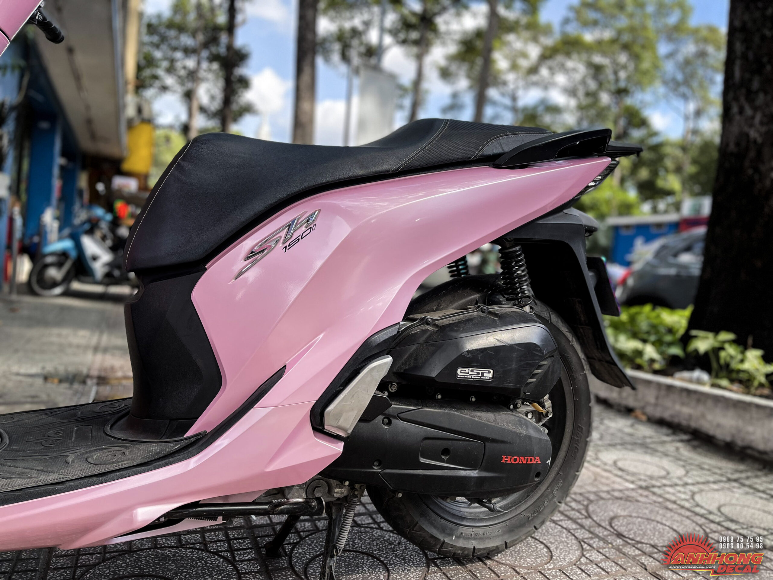 SH2019 Hồng Sữa Sakura - AH DECAL