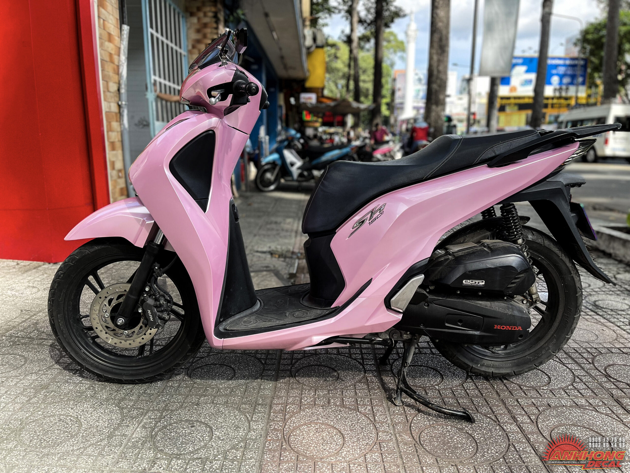SH2019 Hồng Sữa Sakura - AH DECAL