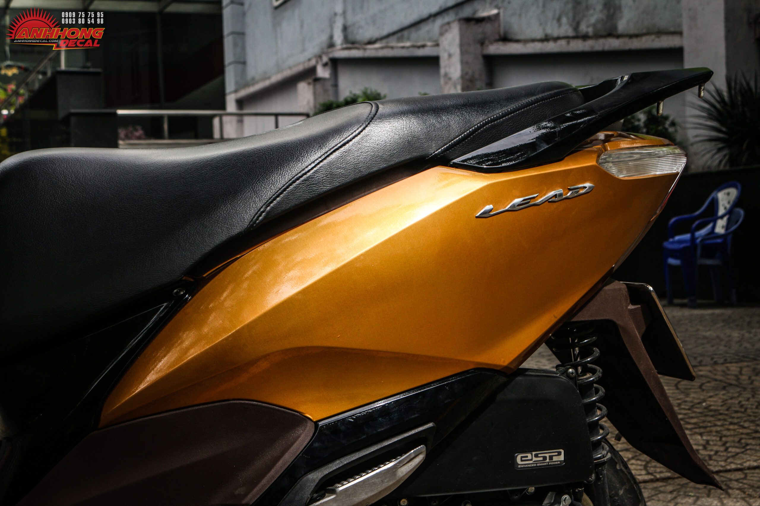 Lead Vàng Đồng Gold - AH DECAL